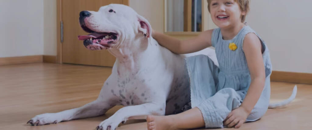 Dmx Uncoupling DMX 1-Step LVT Advanced Vapor Barrier, 100 Sq Ft Roll ...